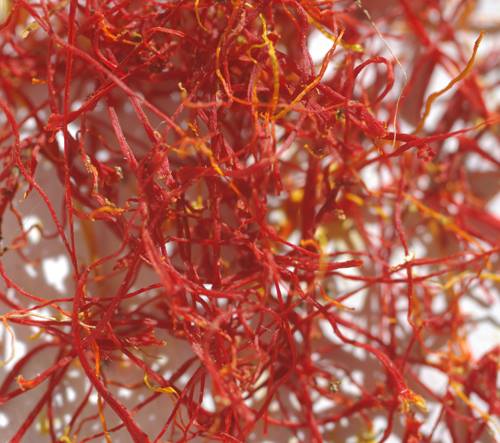 How to Grow and Use Saffron – Richo's Blog